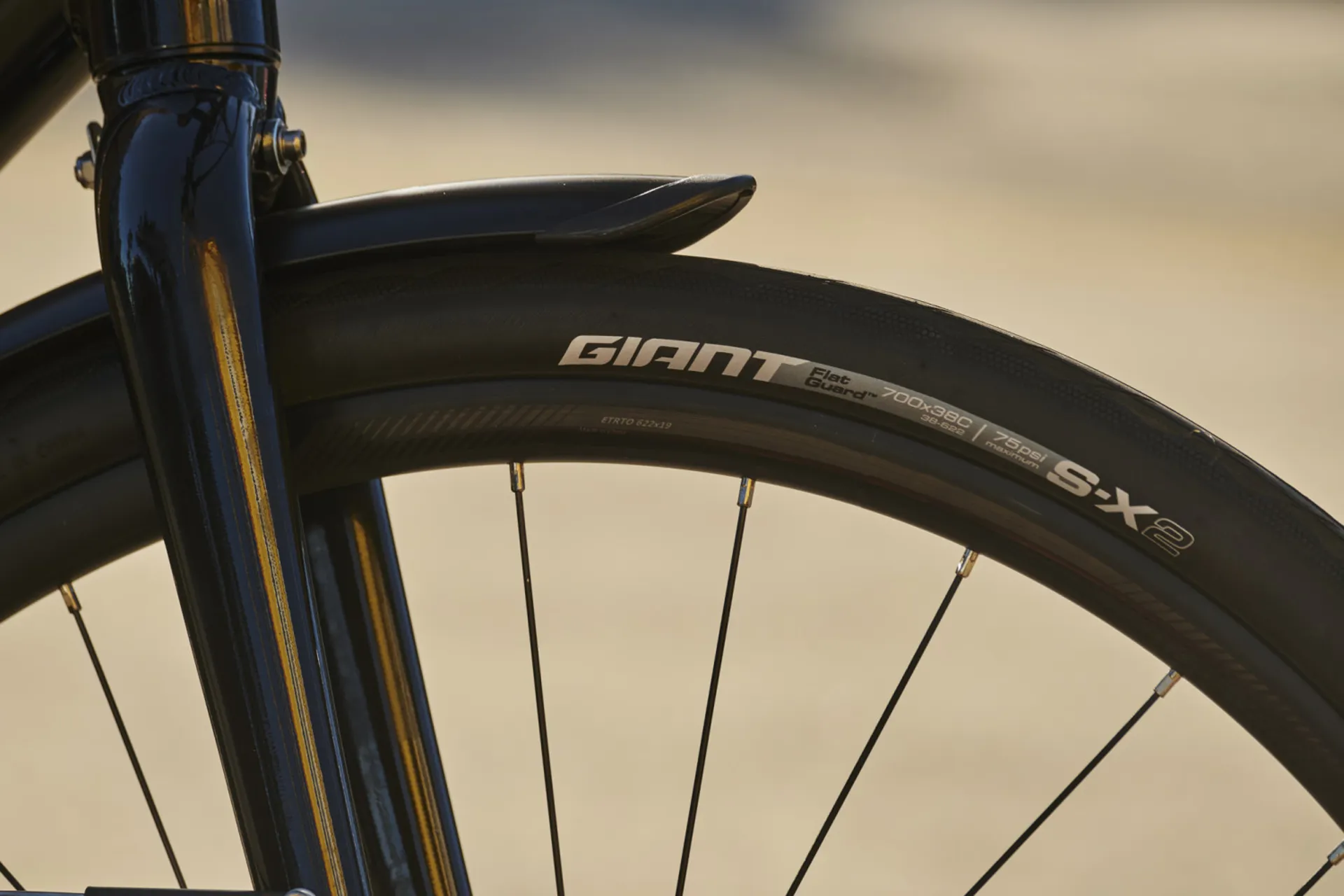 Giant Escape City Disc 2 Hybrid Bike 2025 in Gloss Panther