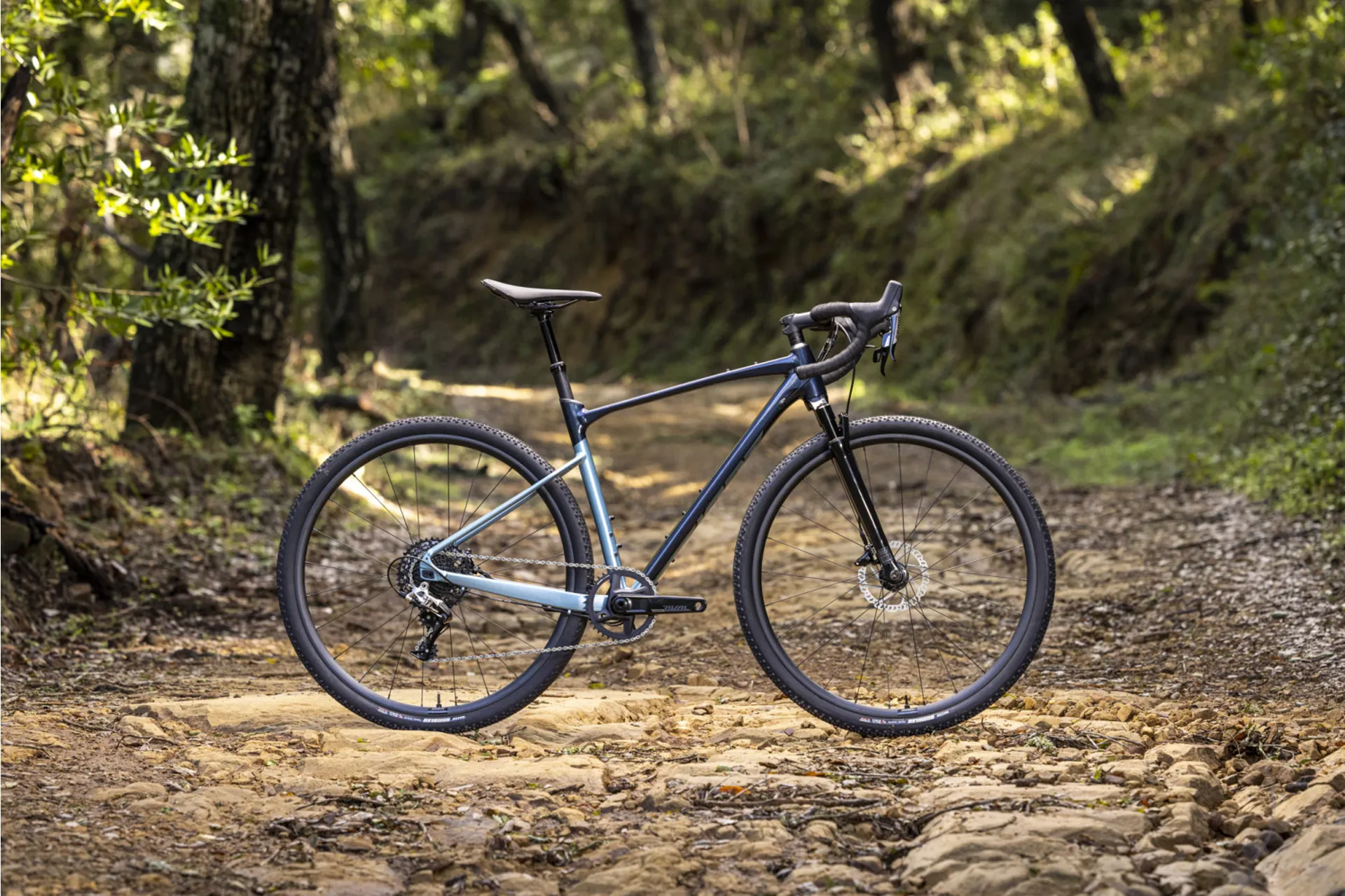 Giant Revolt X 1 Gravel Bike 2025 in Cold Night