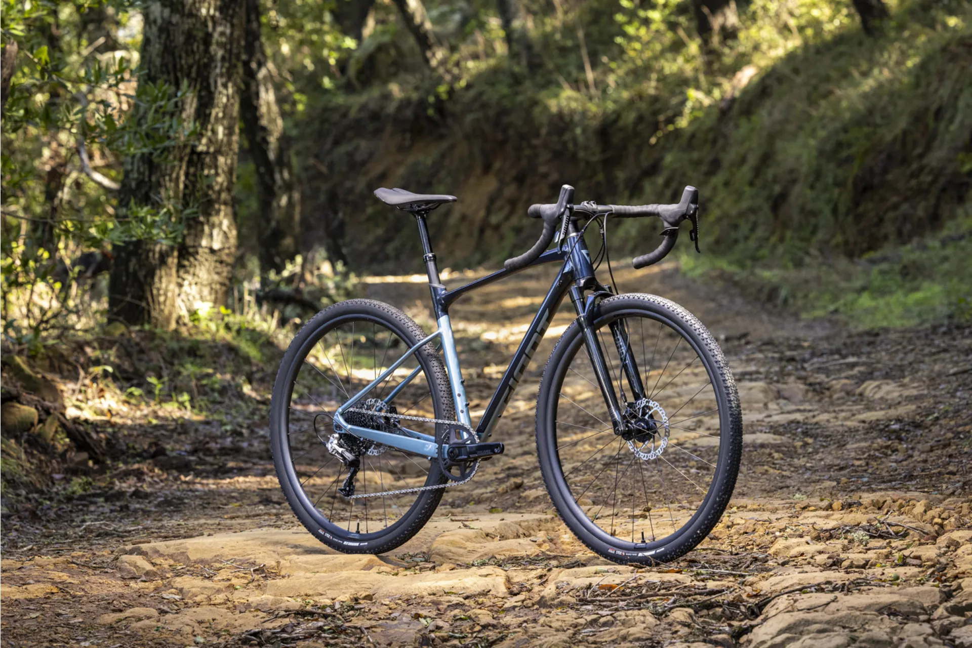 Giant Revolt X 1 Gravel Bike 2025 in Cold Night