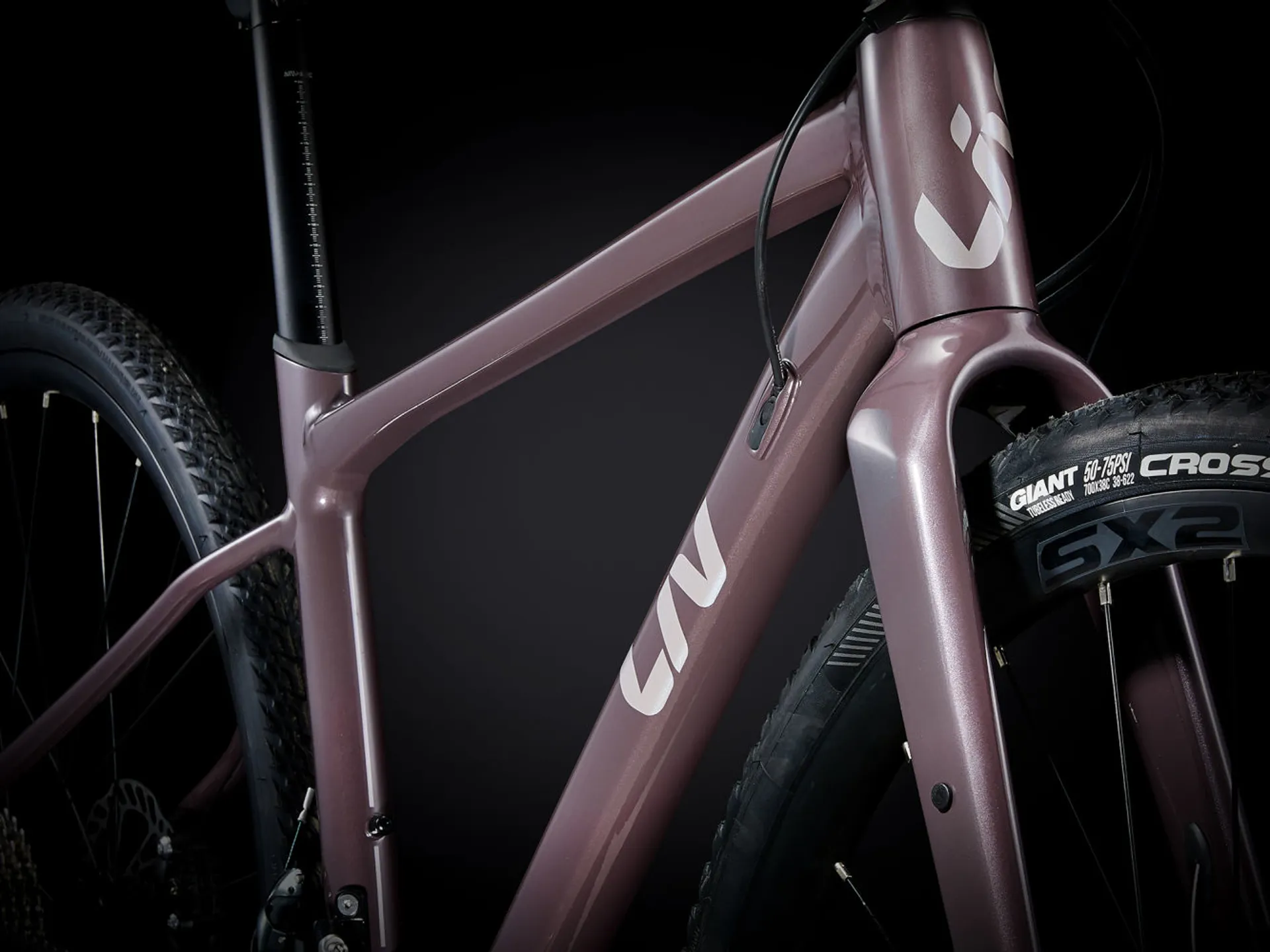 Liv Devote 1 Gravel Bike 2025 in Charcoal Plum