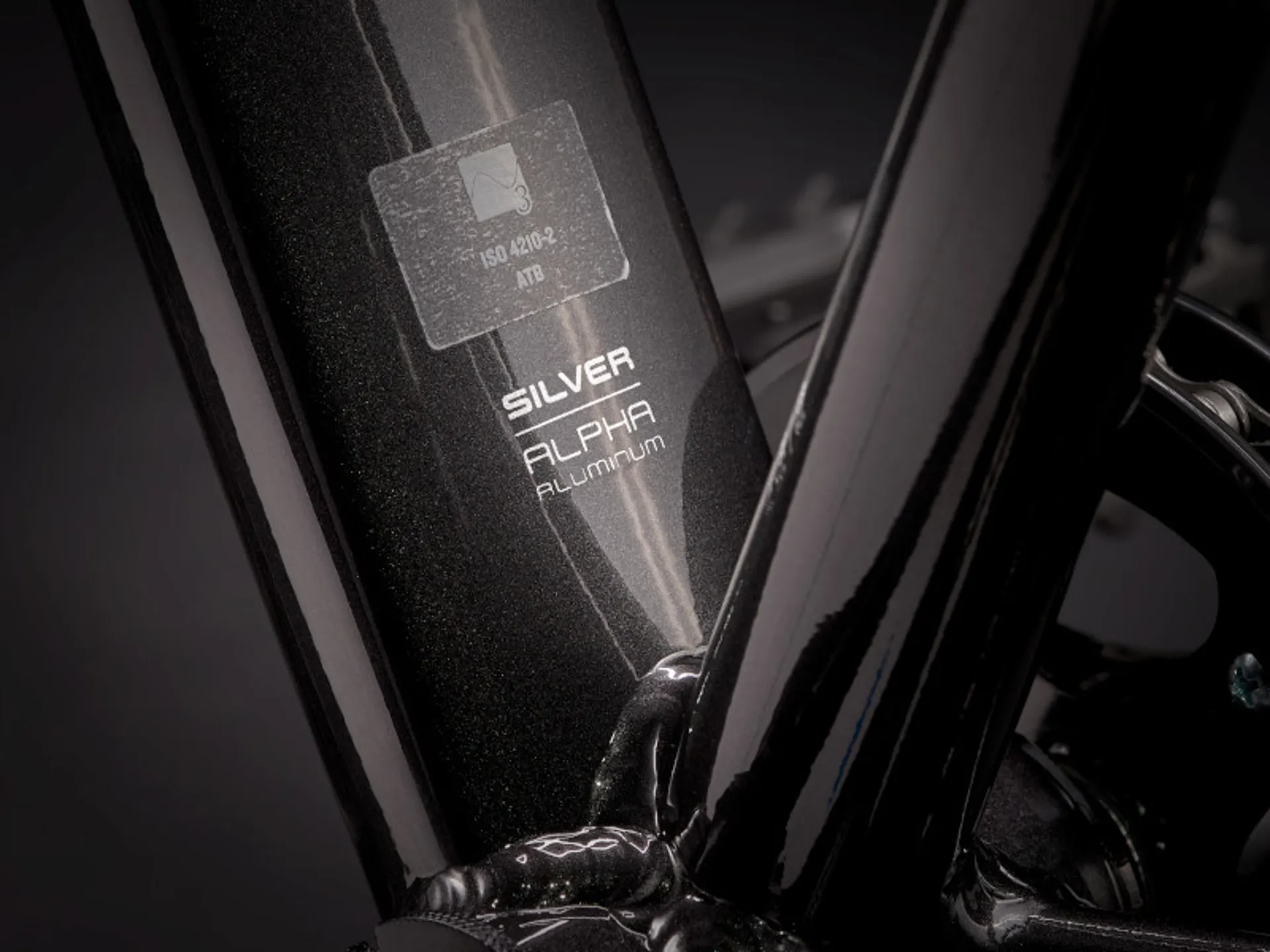 Trek Roscoe 20 inch Wheel Kids Mountain Bike 2023 in Rage Red to Black