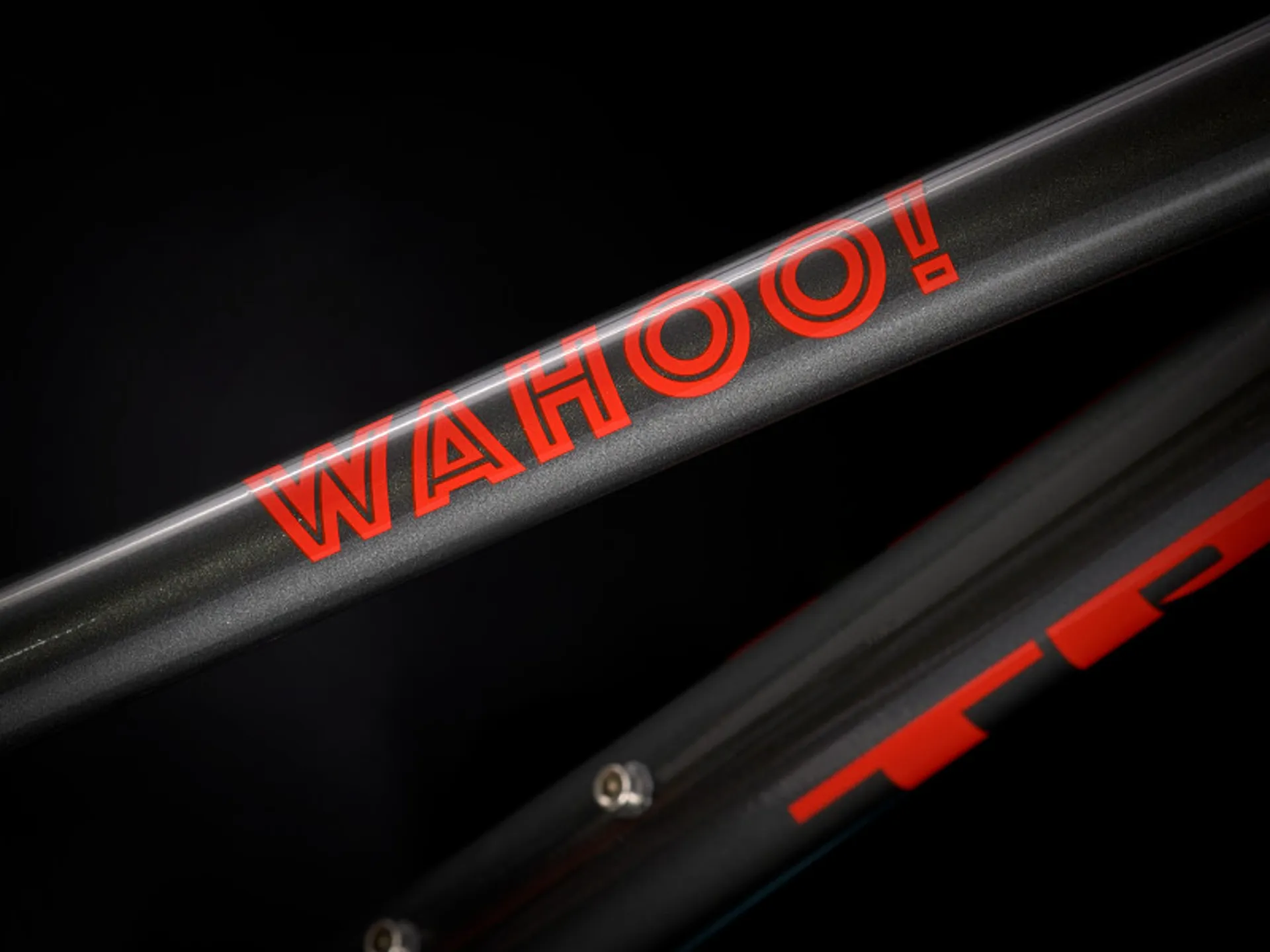 Trek Wahoo 24 inch Wheel Kids Bike 2022 in Lithium Grey and Red