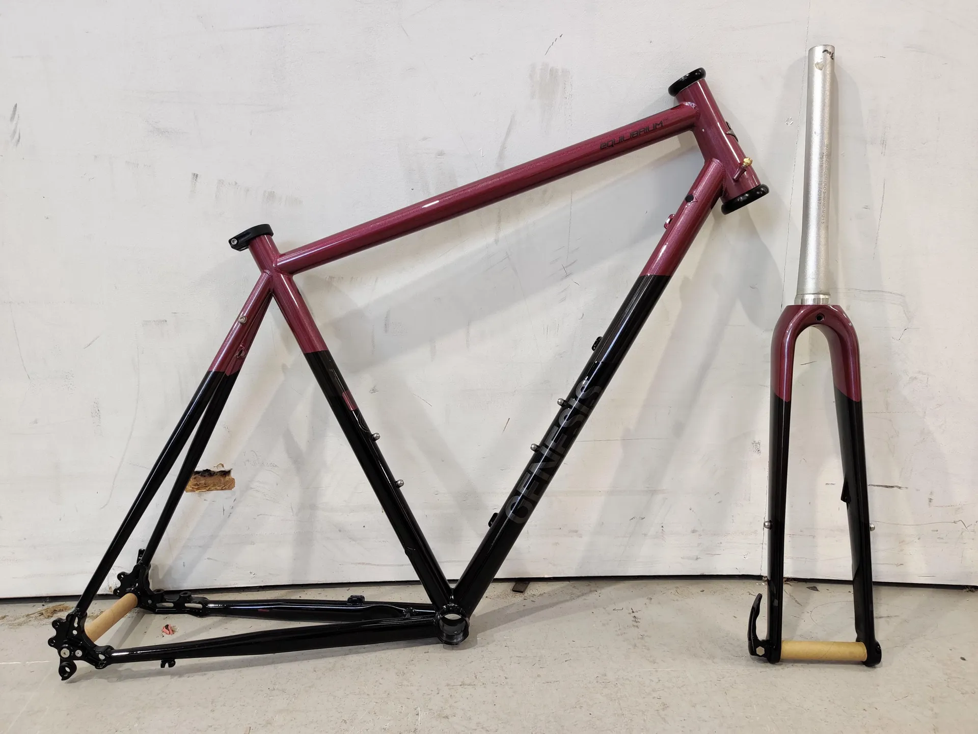 Ex display Frame Gn 20 Equilibrium Disc 725 Framese Blue Medium