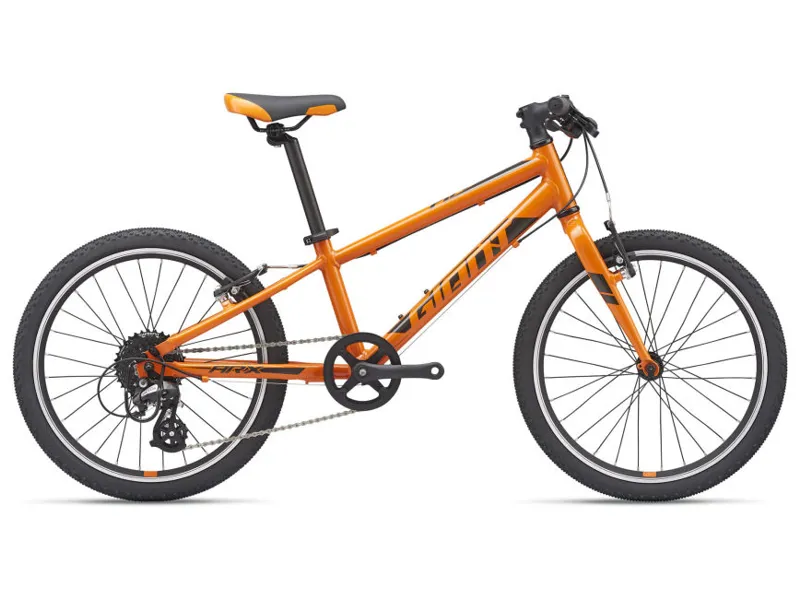 Giant ARX 20 inch Kids Bike in Orange