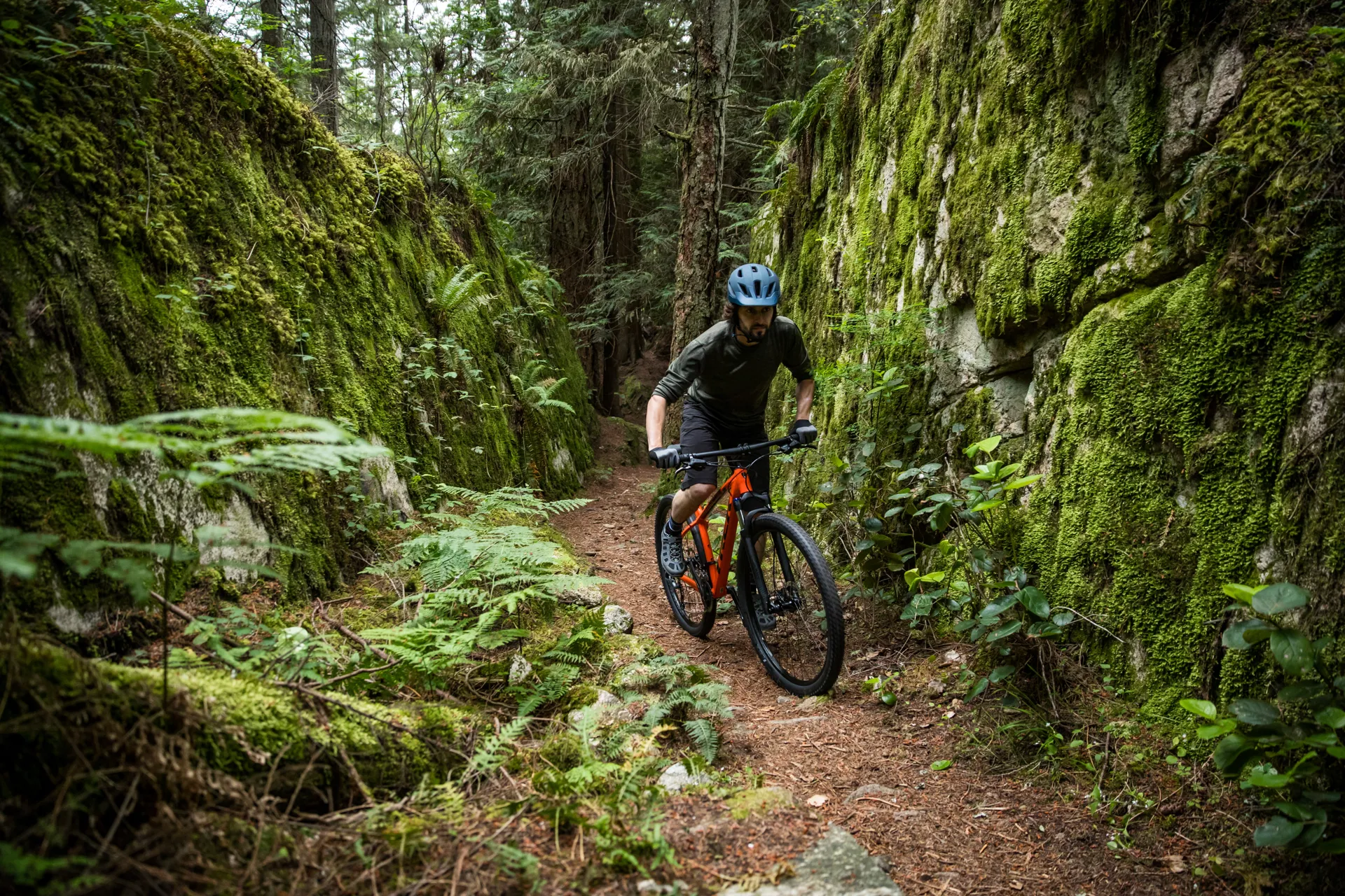 Trek Marlin 7 Mens Mountain Bike 2020 in Green