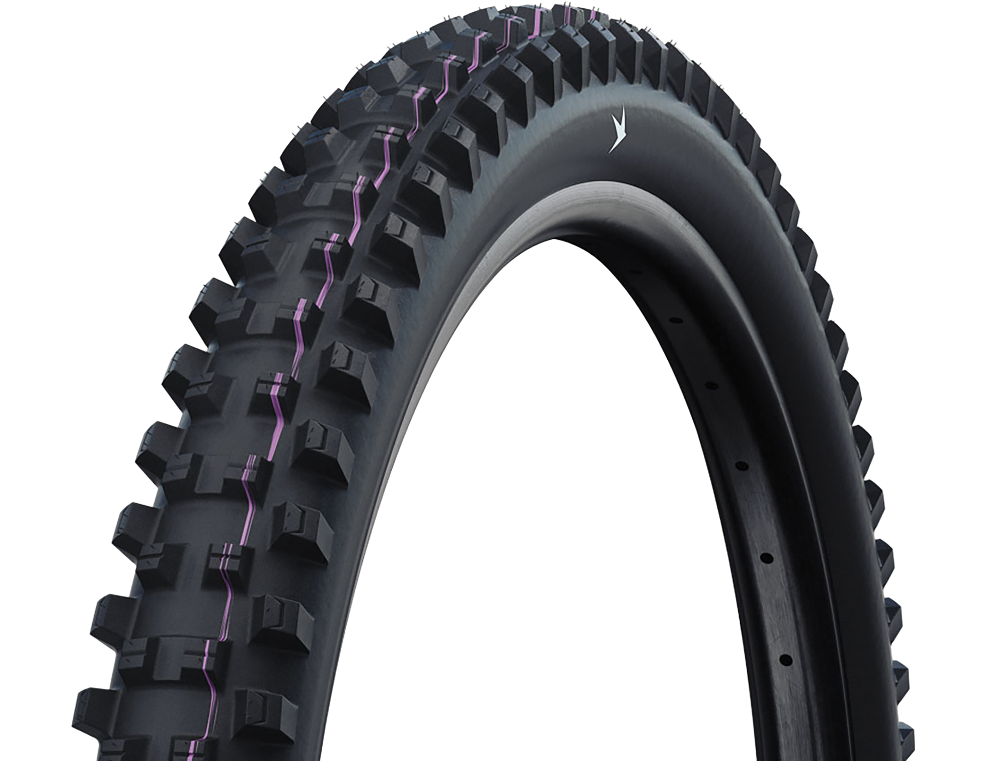 Schwalbe Shredda Front Radial Gravity Pro Evo TLR Tyre 29x2.50 in Black